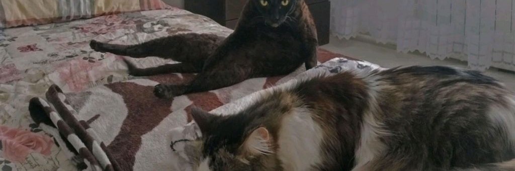 Ростов на Дону-Ейск