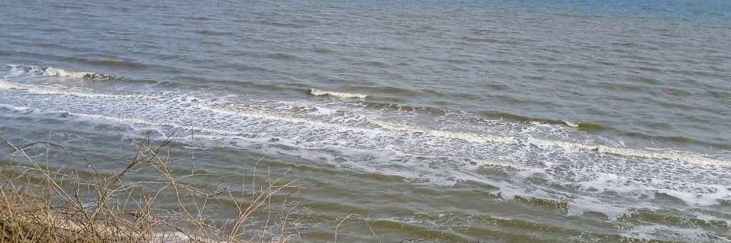 Елена " Творческий Уголок на Морском побережье "