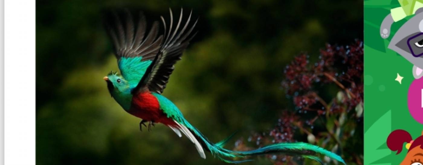 Творчество И Мои Увлечения