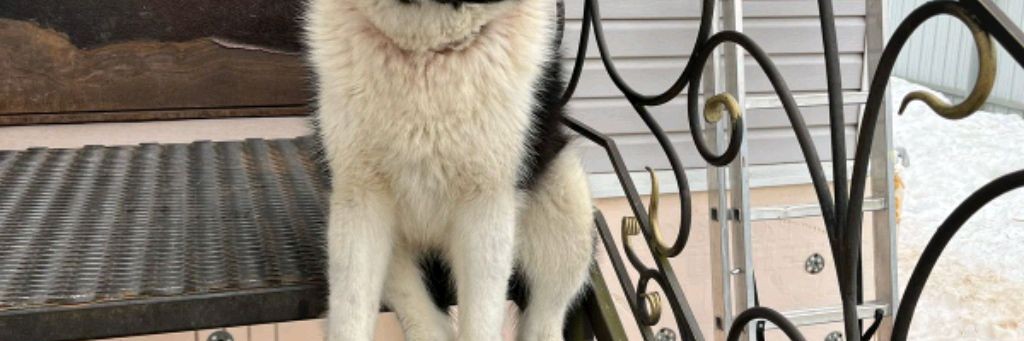 На Связи 😘