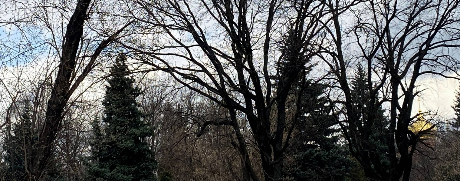 Аркадий Малер