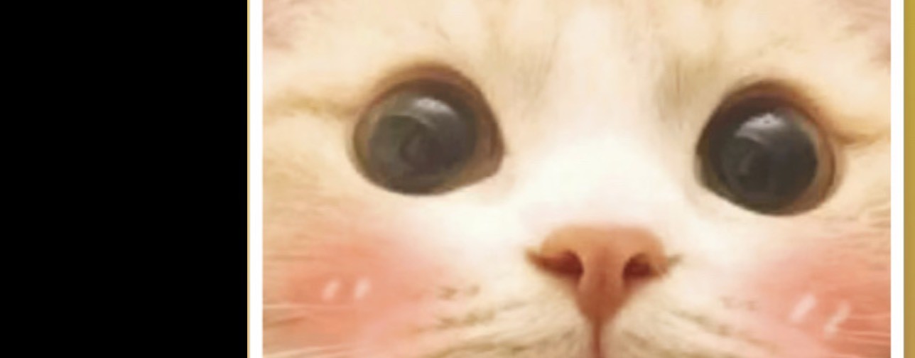 💗🎀🌸🌊~wave-to-everyone~🌊🌸🎀💗