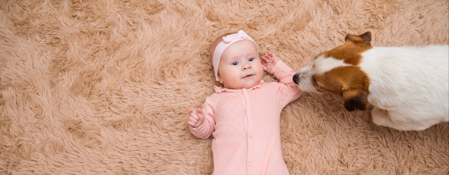 Тыковка и Ко