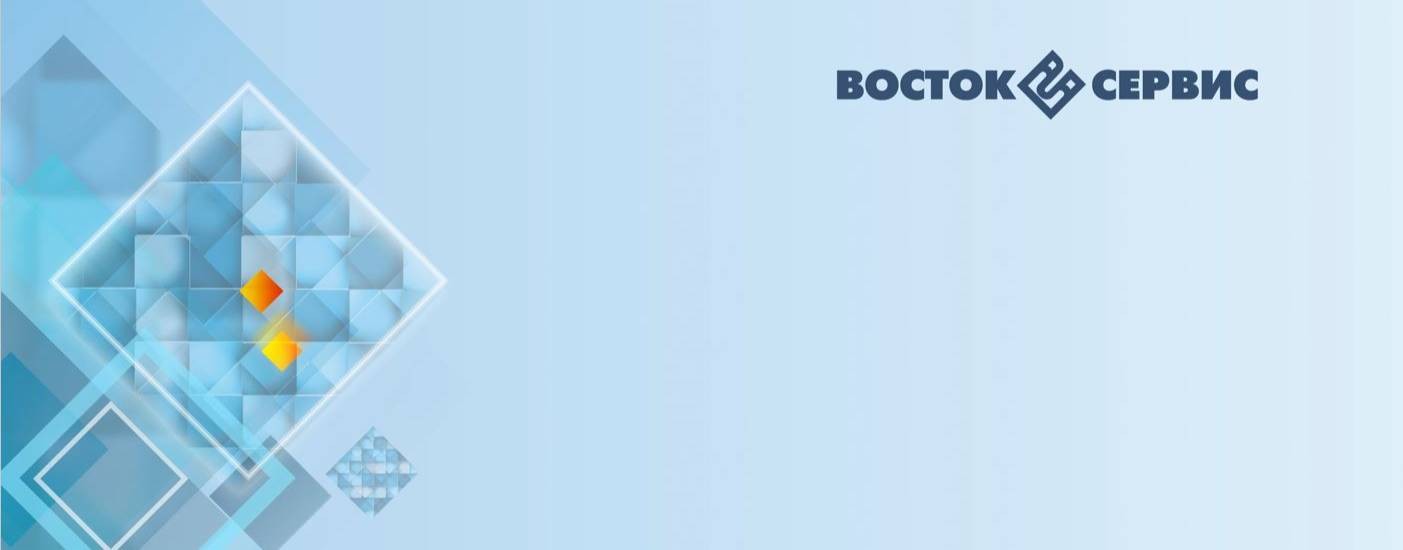 Новосибирск-Восток-Сервис