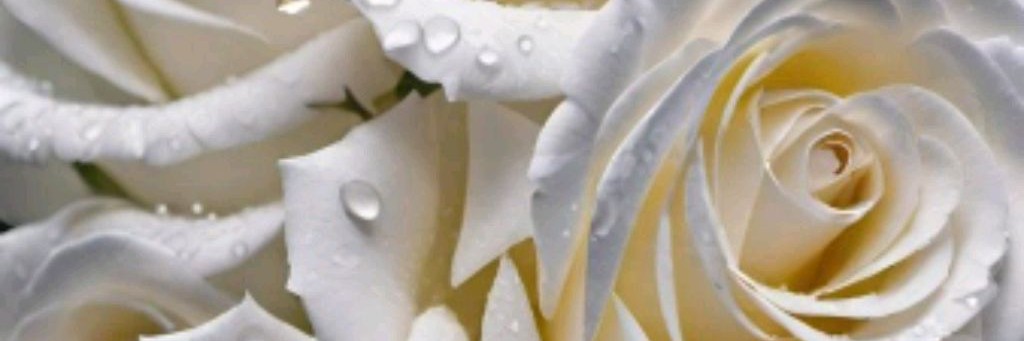 *крымчаночка*