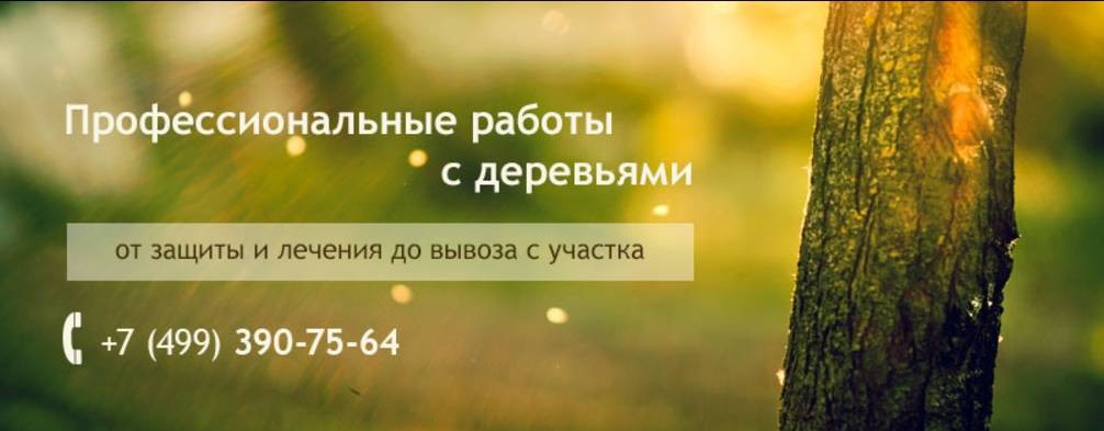 Арбо Гарден