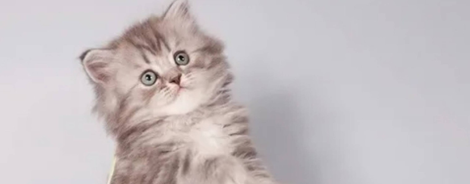 Рукодельная лавка