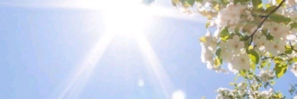 Юля: Бюджет И Жизнь