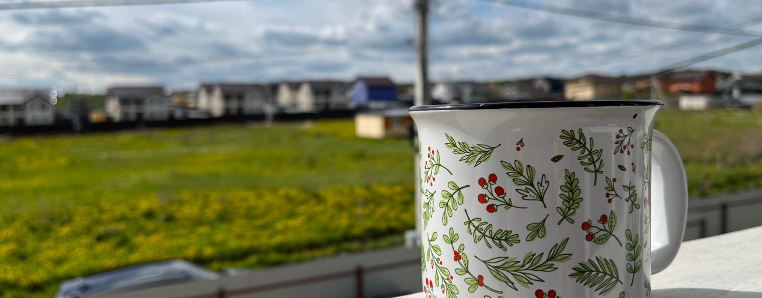 Моя первая жизнь