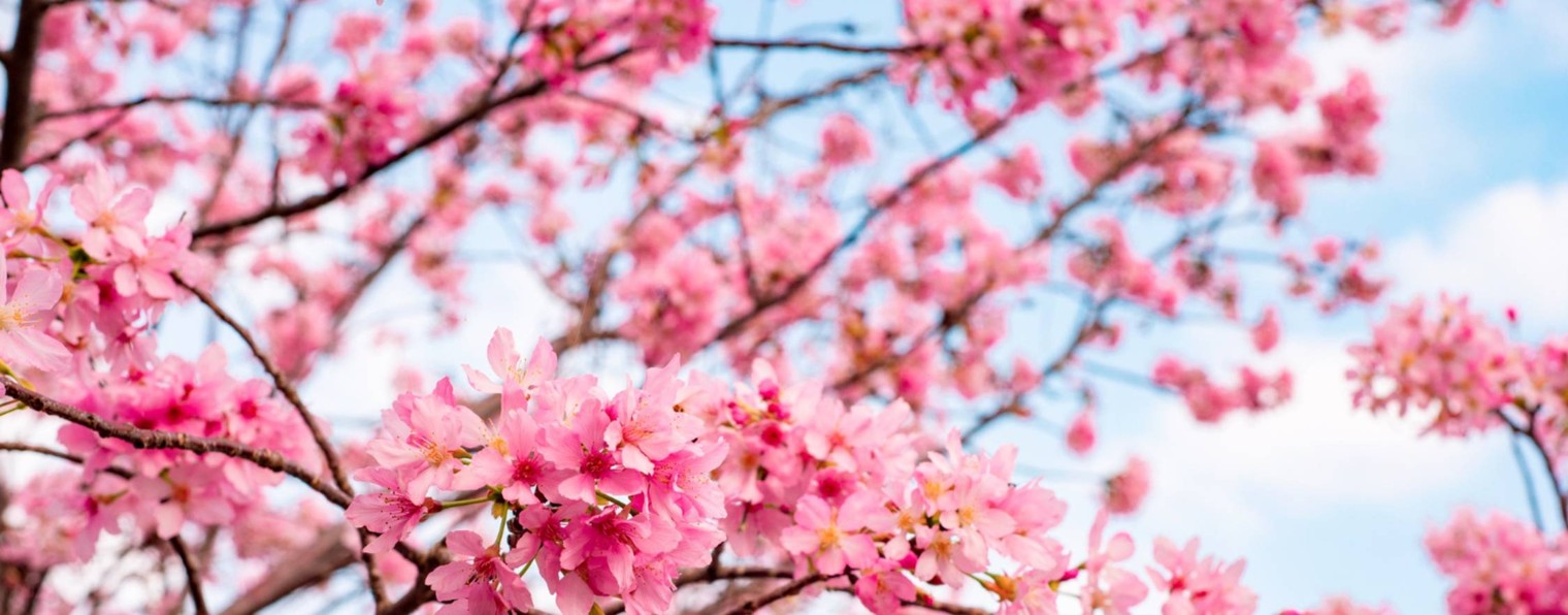 В очень активном поиске