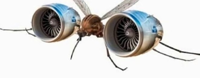 Ариф познователь