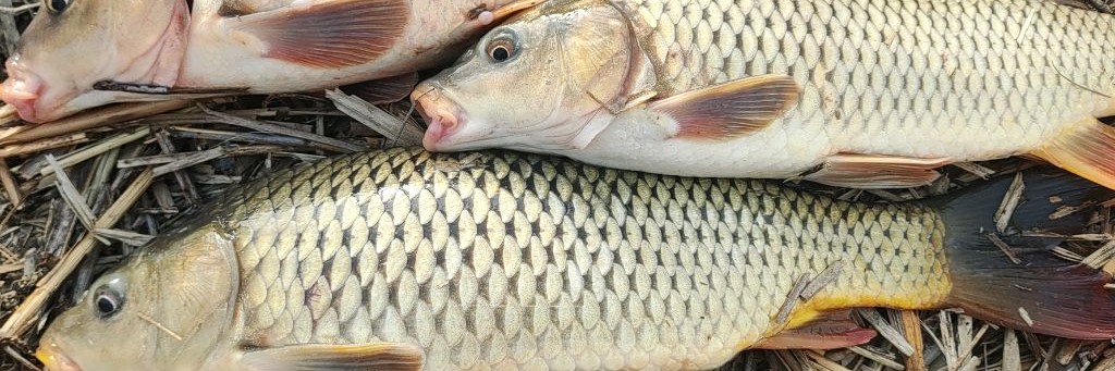 Рыбалка~Отдых~Степь~Вокруг