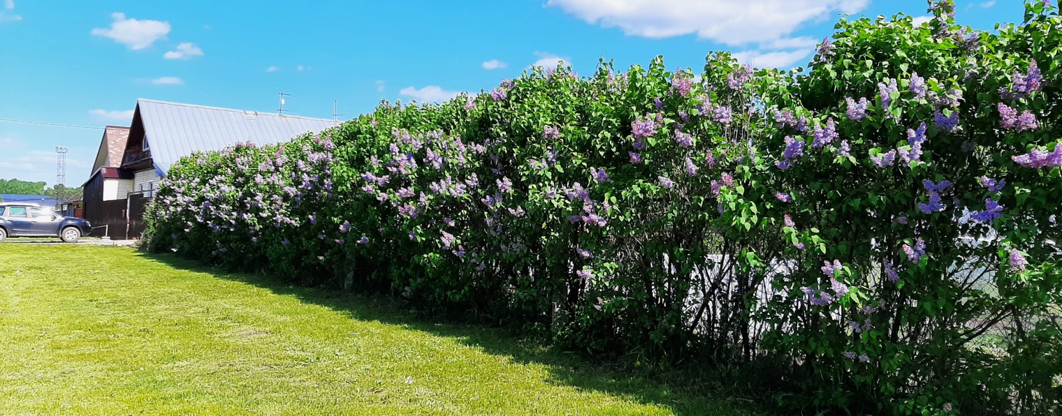 Наталья Мусина. Жизнь на пенсии.
