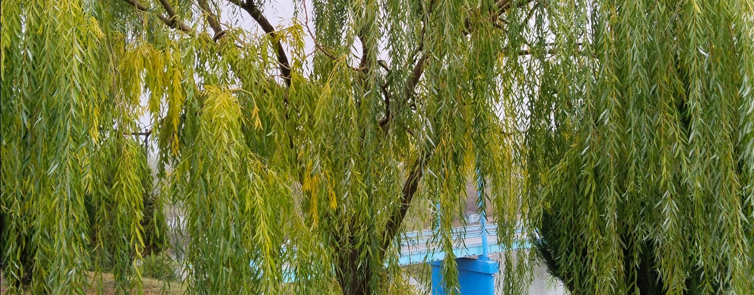 Светлана Viktorova ♥️