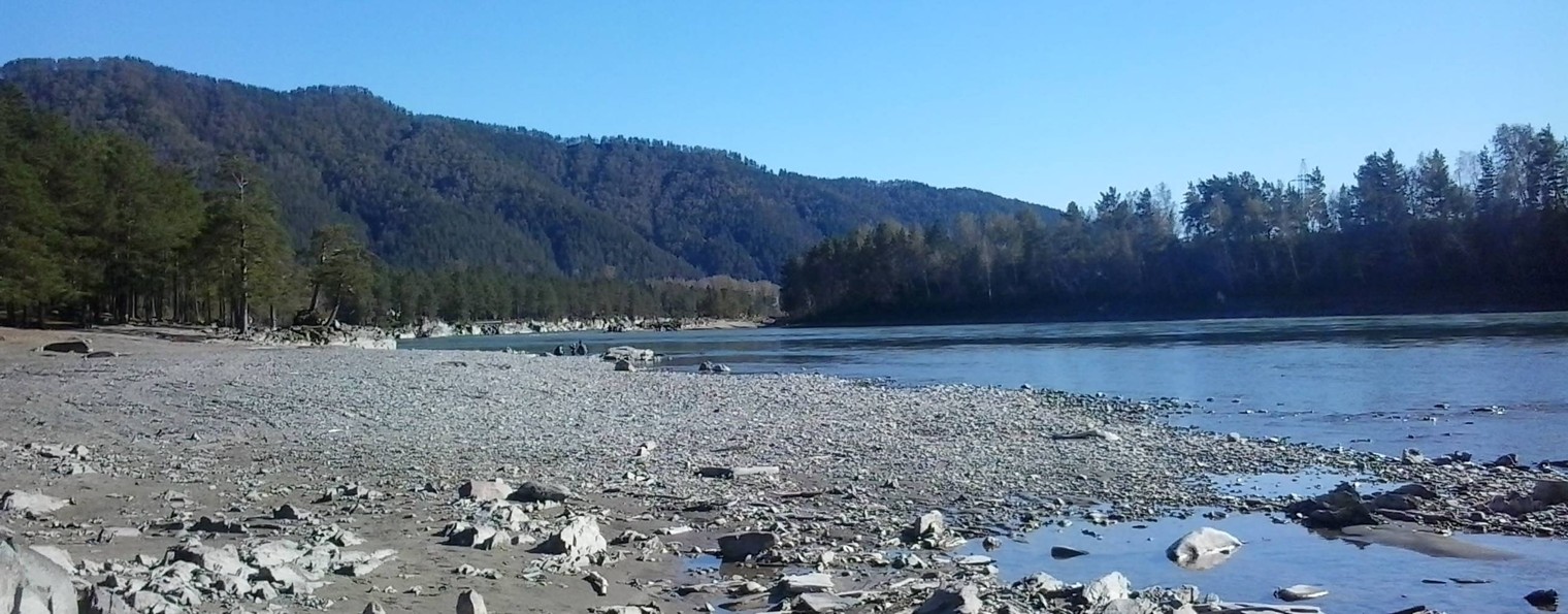 ГАЛИНЫ СЕКРЕТИКИ