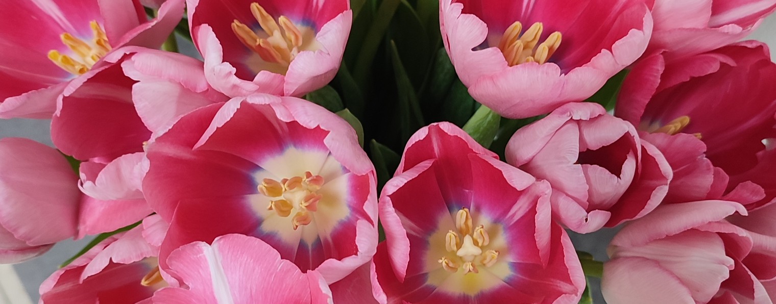 Территория крестиков adamovna_stitch