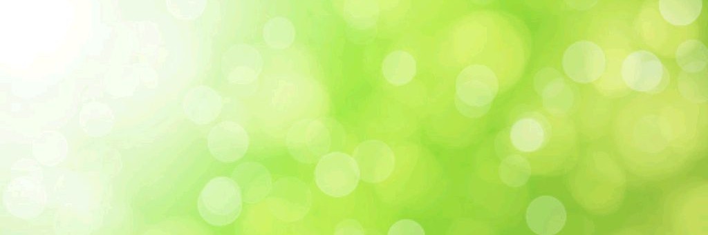 Рассада от Алёны и Руслана