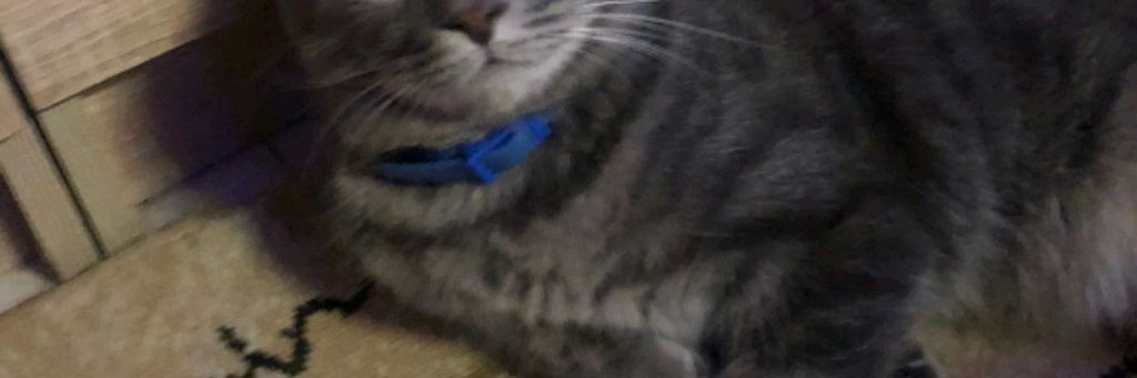 Просто ИРИНА