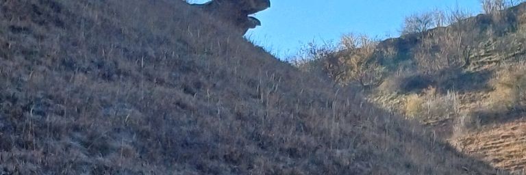 Всё Про Всё