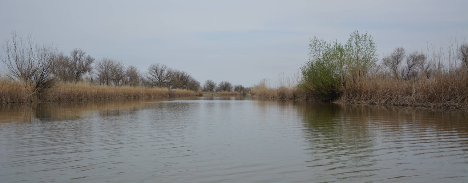 Рыбак Михалыч (Щукарь)