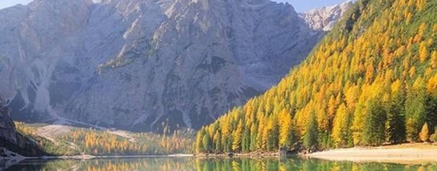 Анастасия Кононова  ЙОГА|ПСИХОАНАЛИЗ