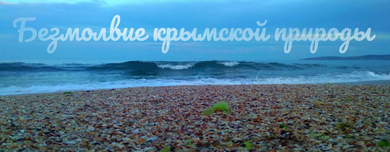 КРЫМ & Безмолвие крымской природы