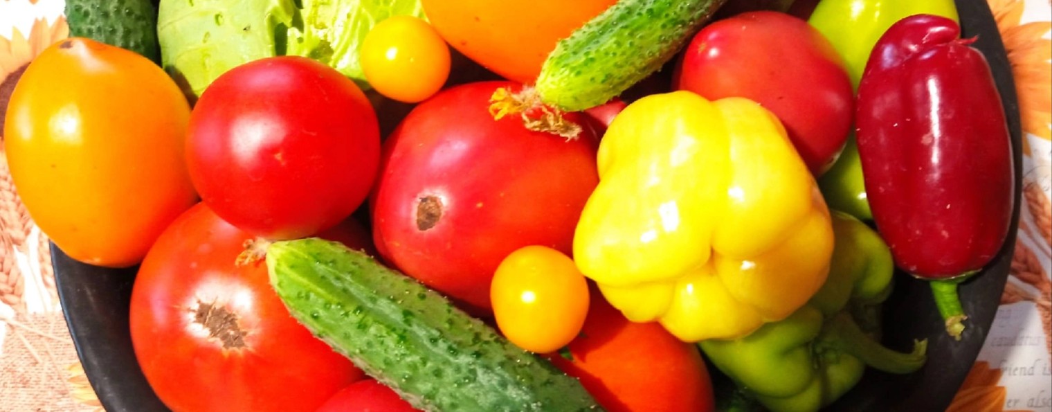 Мой сад, огород и не только!