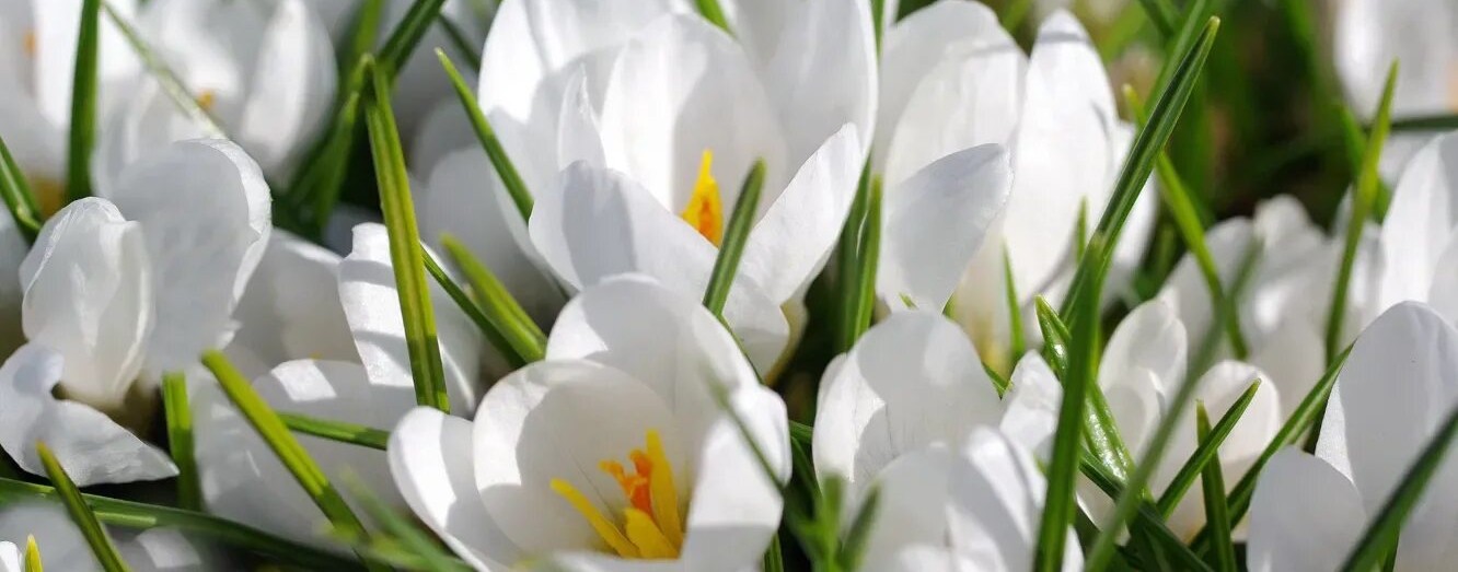 Кочерыгина Анна