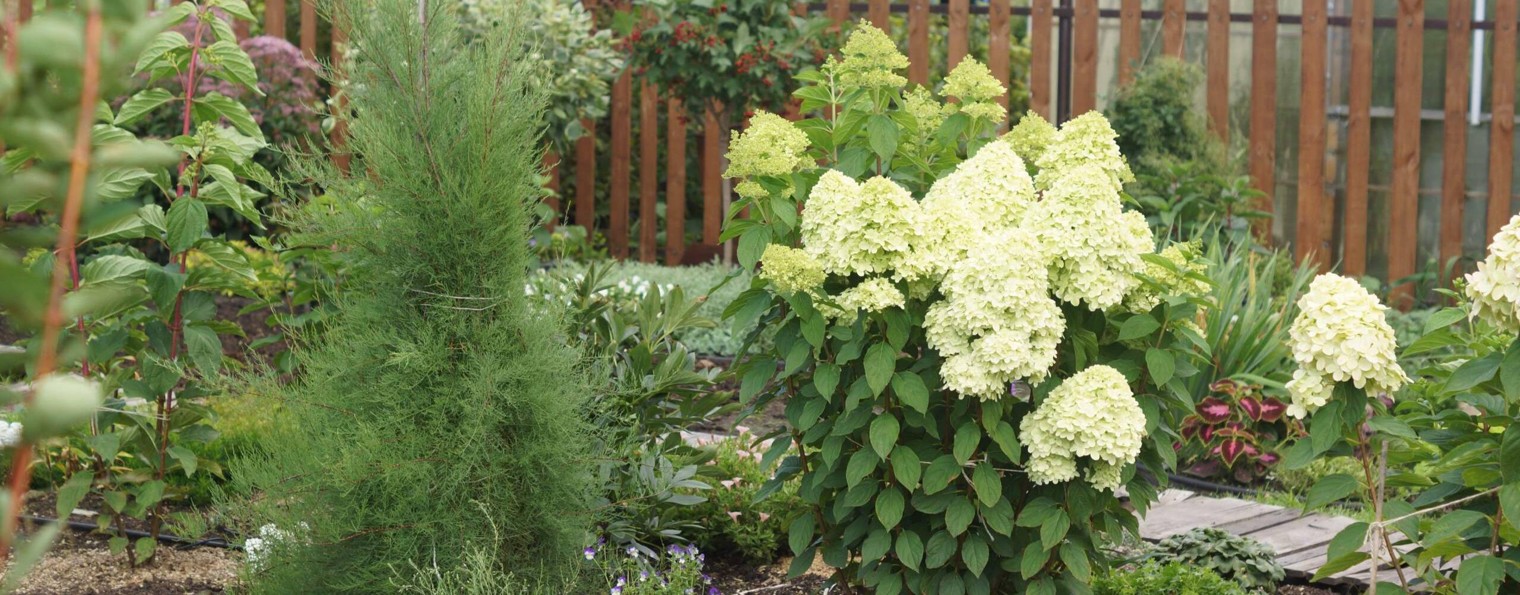 Милая дача с Людмилой