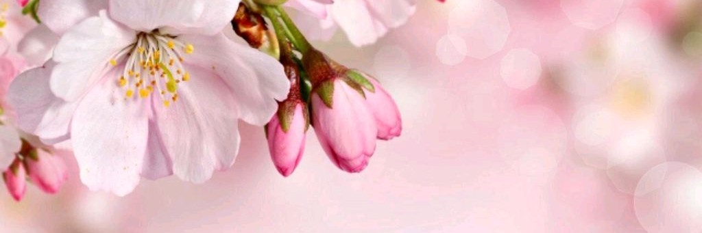 Uli.toys_Uliana Sergeeva