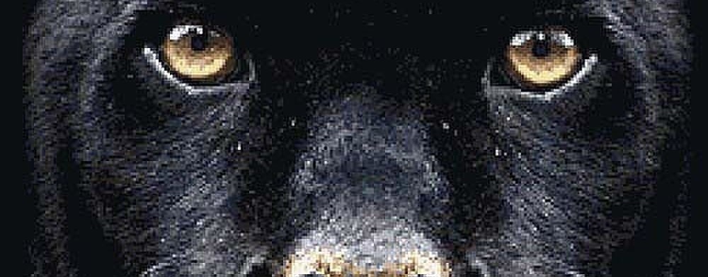 эля крестики и ножницы