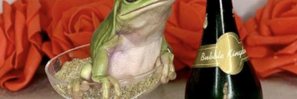 🐢ɥϱρϱɓʒяɯκα🐢