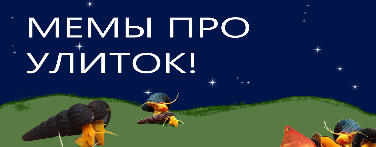 мемы с улитками.