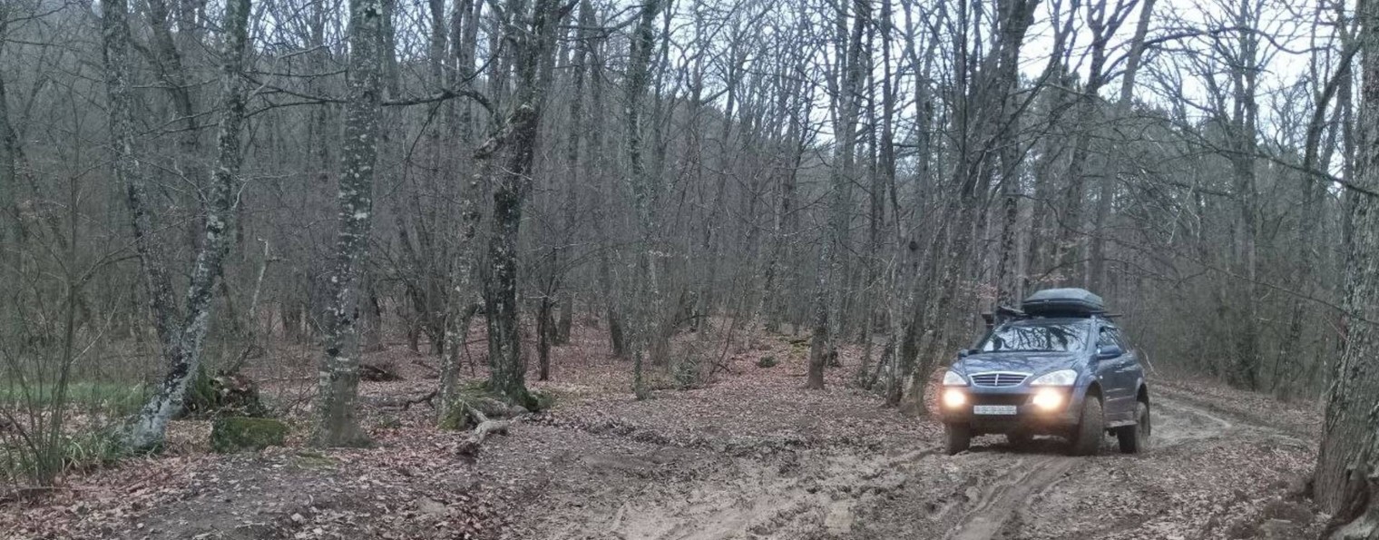 Дневник Кайроновода