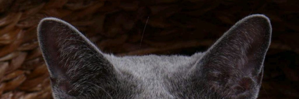 Живи и Вяжи с Татьяной