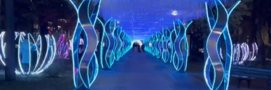 Россия голос