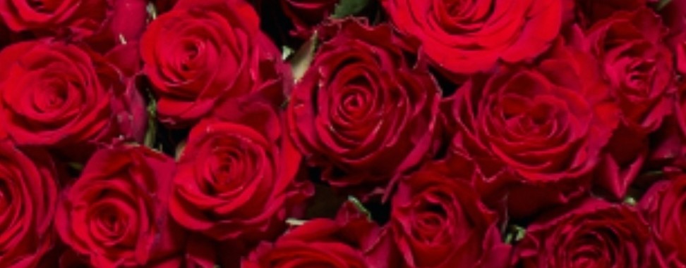 КУДРЯШКА ВЕРА🪷