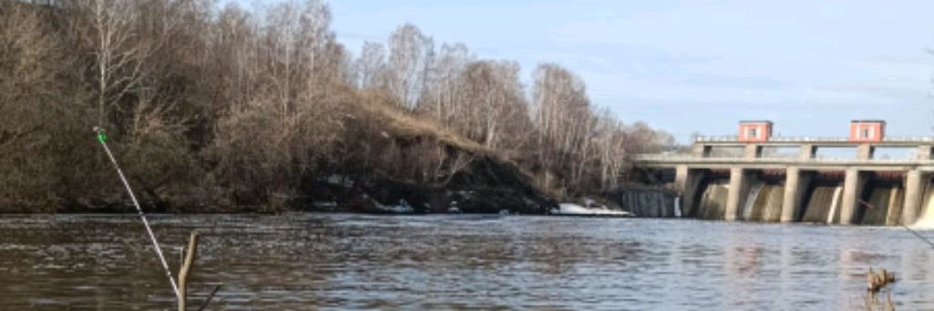 Год Рыболова