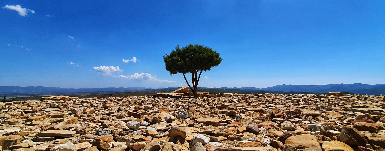 Студия "Загородный Квартал"