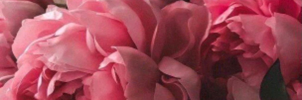 Елена Бизяева