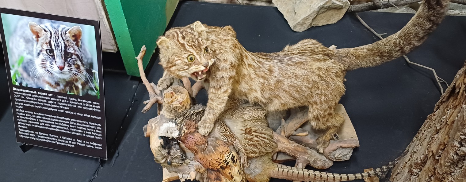 Хабаровский вязальщик