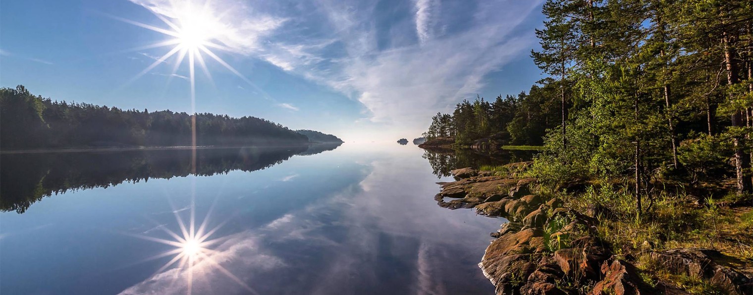 Мiръ - единый организм