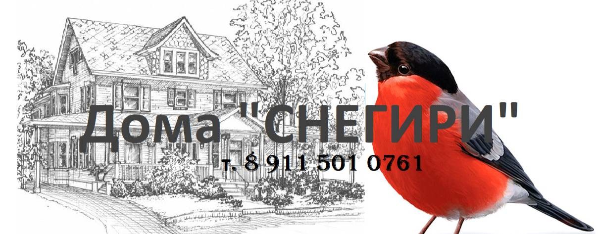 ДОМА  СНЕГИРИ     (Вологда-Санкт Петербург-Москва)
