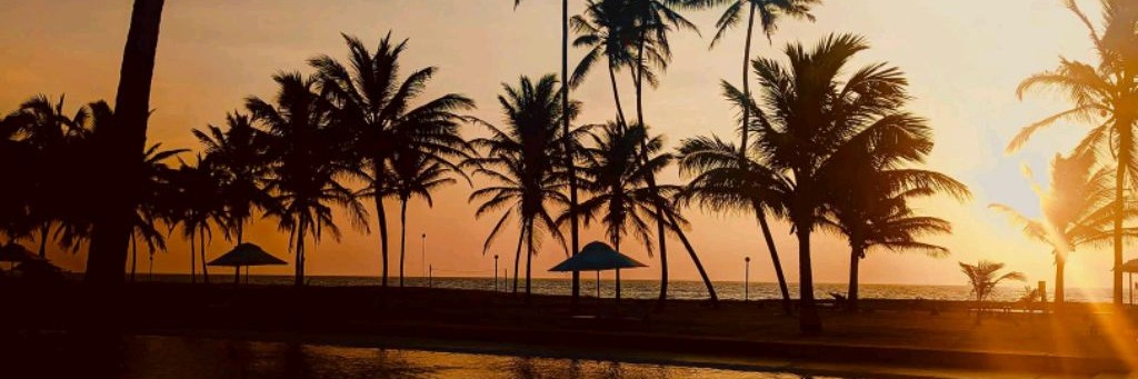 ОБЗОР КЛИПОВ И ПЕСЕН!