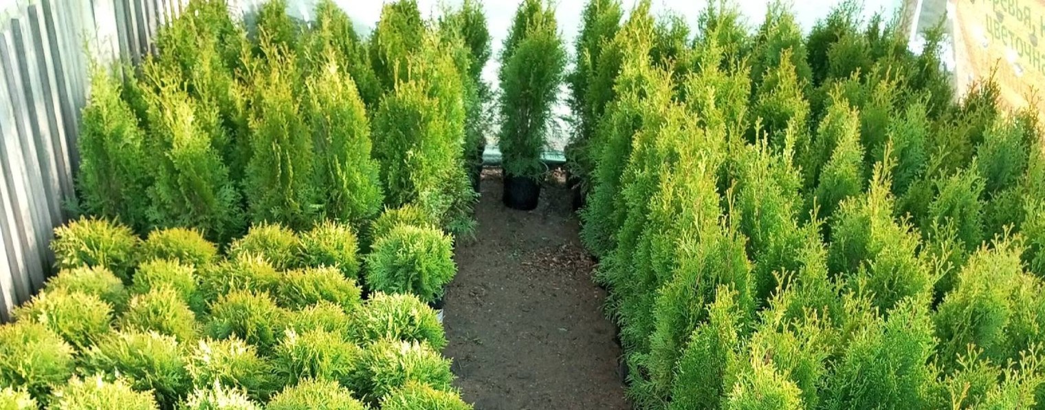 Садовый Рай