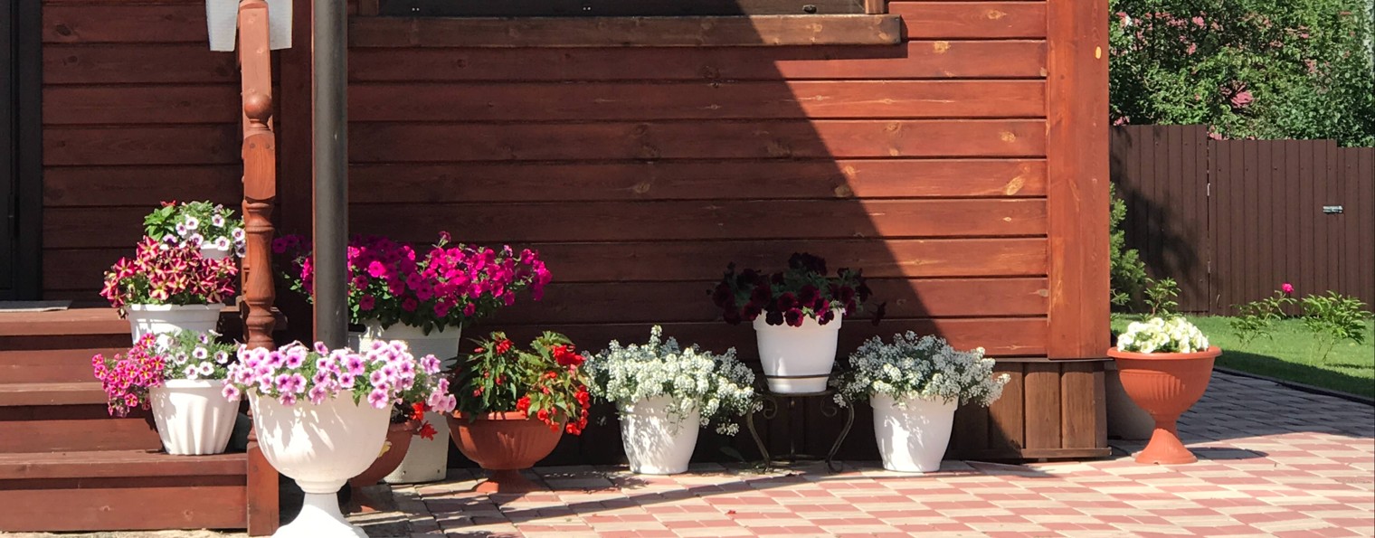 У домохозяйки в гостях!