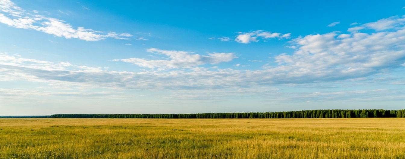Странник Амурский