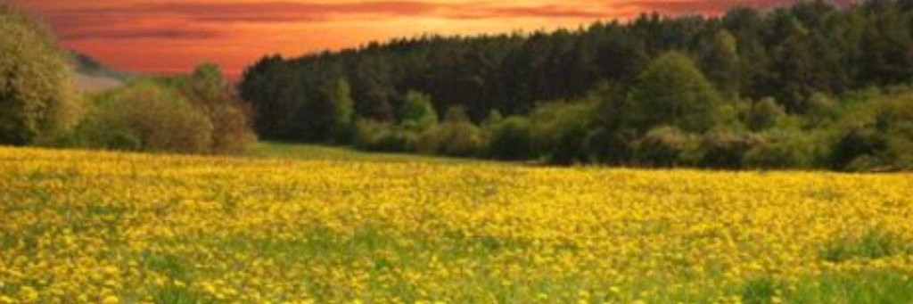 ~﹤{НаоМи}﹥~