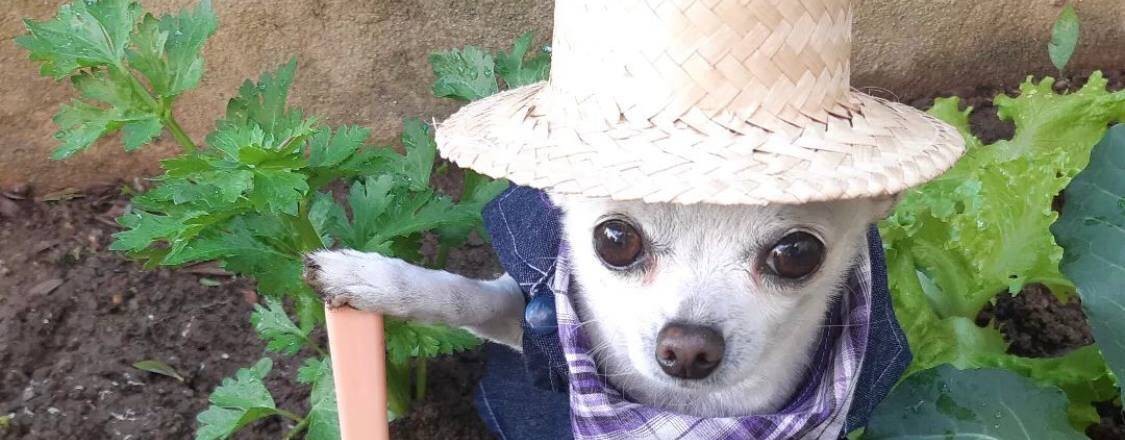 channel27898966_такой весь новый такой весь класс