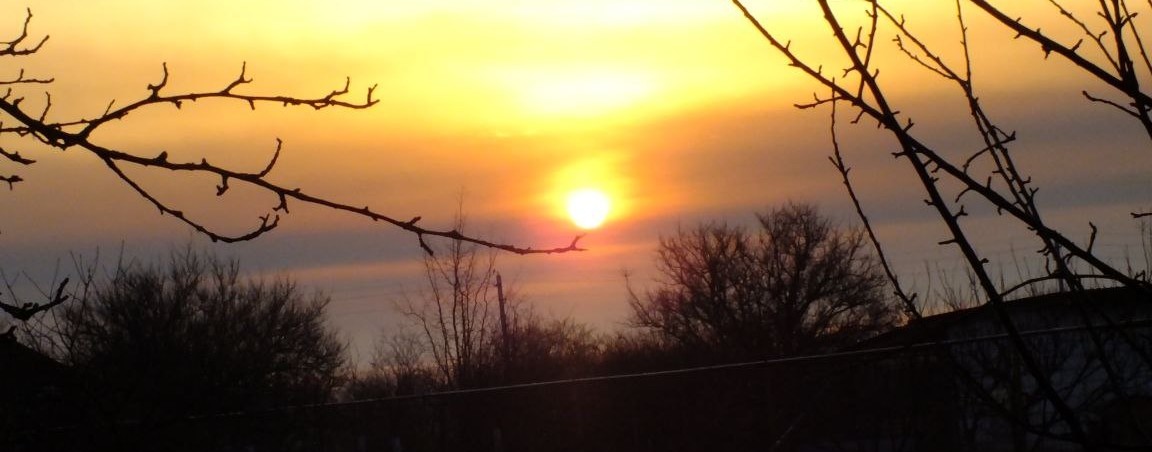 СТАНИЧНЫЙ ДНЕВНИК